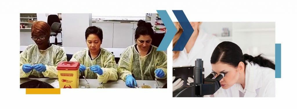 Medical Laboratory Technician and Assistant Diploma Program